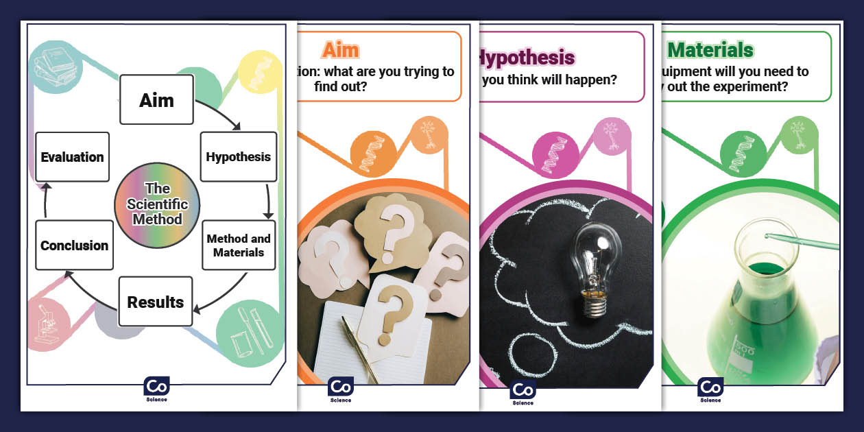 The Scientific Method: Display Posters (teacher made)