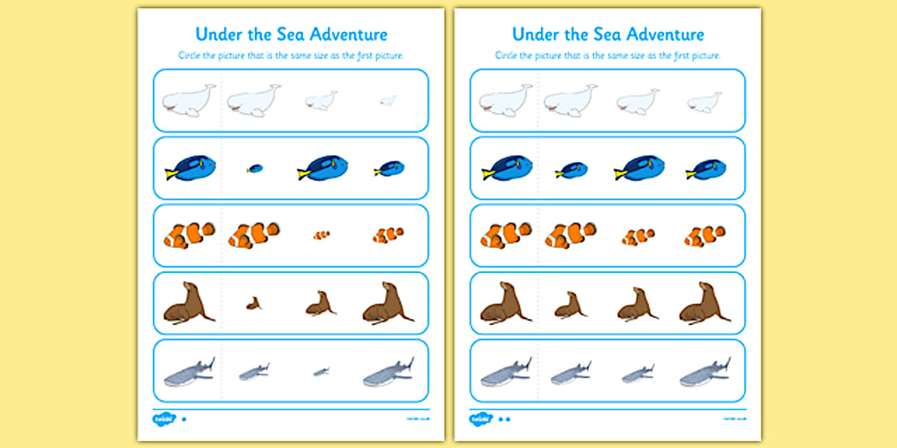 Black and White Under the Sea Adventure Size Matching Worksheet