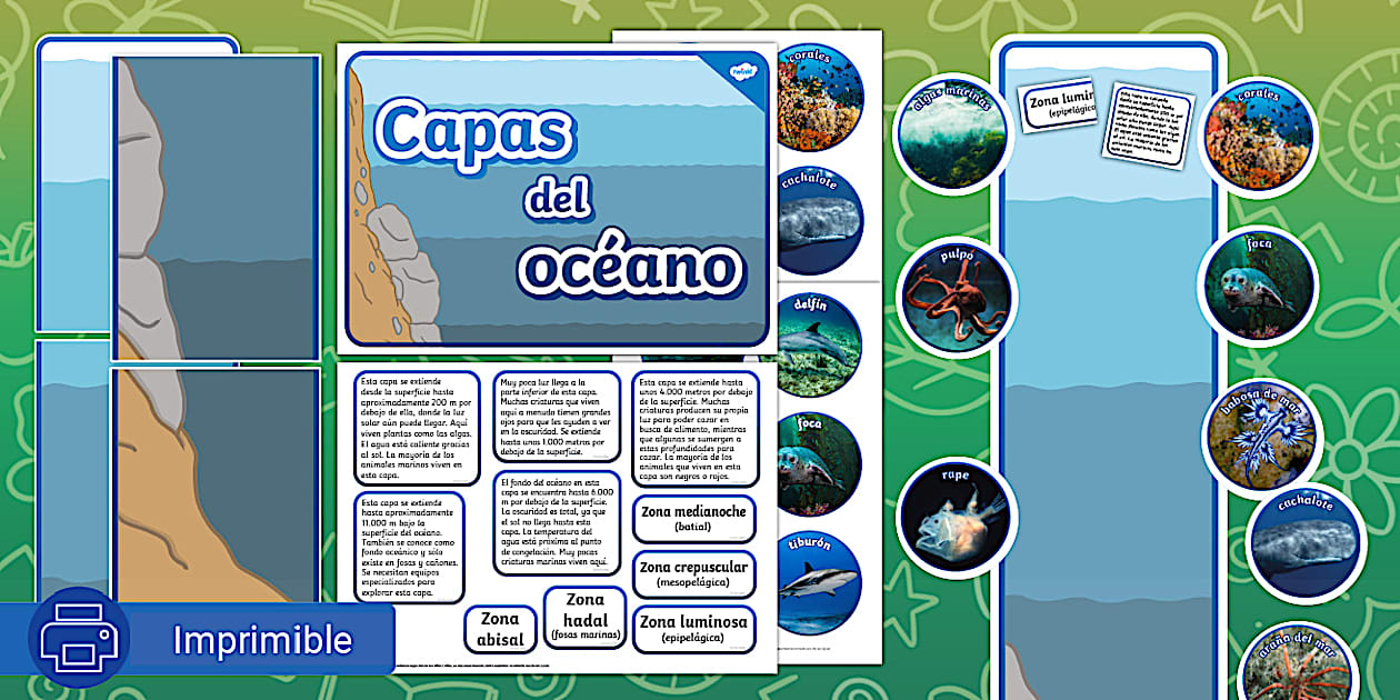 Pósters: Capas del océano (teacher made) - Twinkl