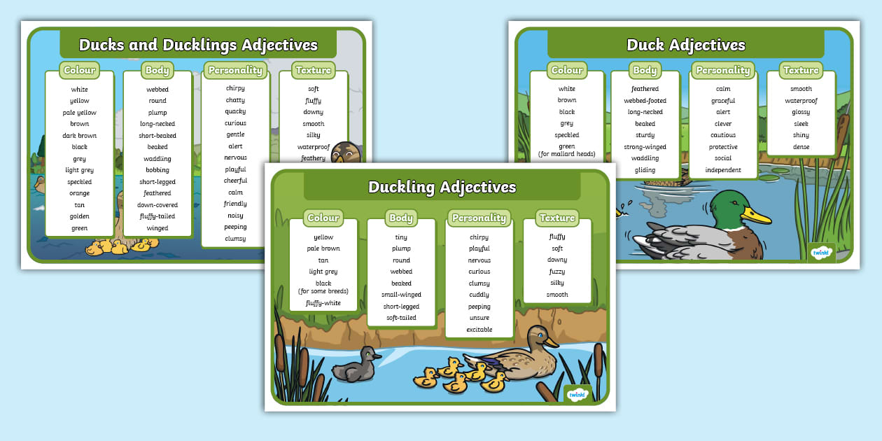 Ducks and Ducklings Adjectives Word Mat (teacher made)