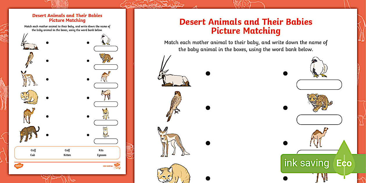 UAE Animals and their Babies Activity