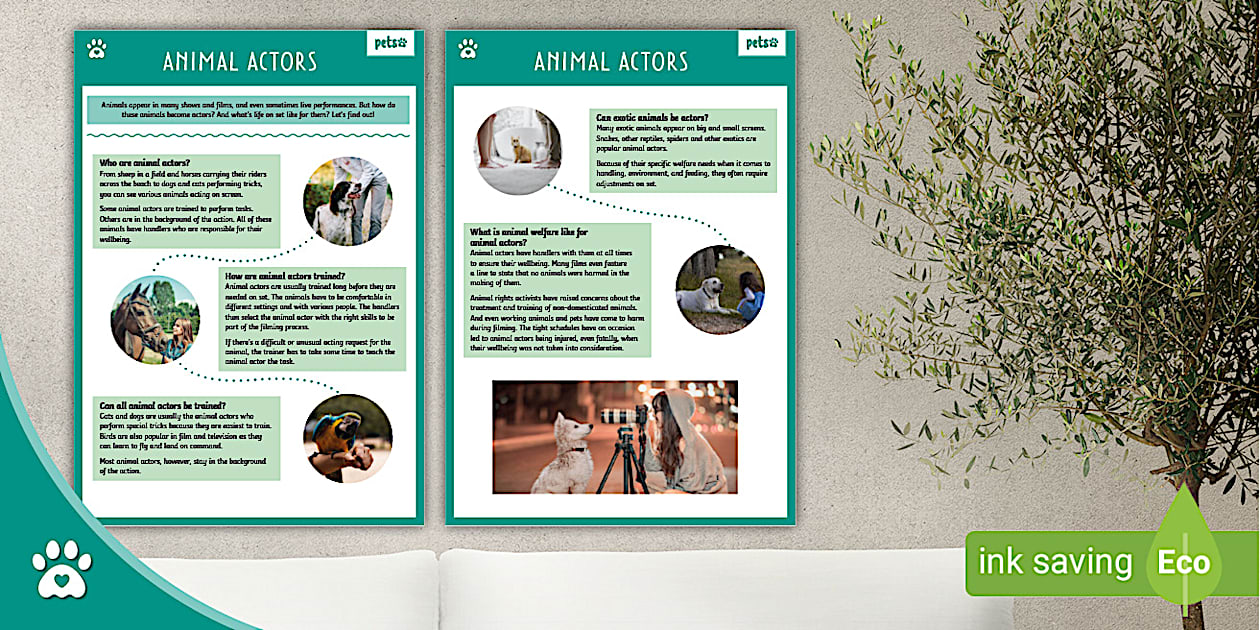 Animal Actors Information Sheet - Pets in Film - Twinkl Pets