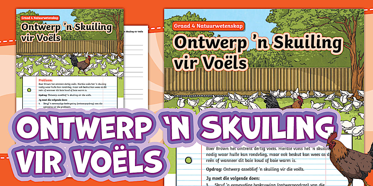 * NEW * Graad 4 Natuurwetenskappe - Ontwerp 'n Skuiling vir Voëls