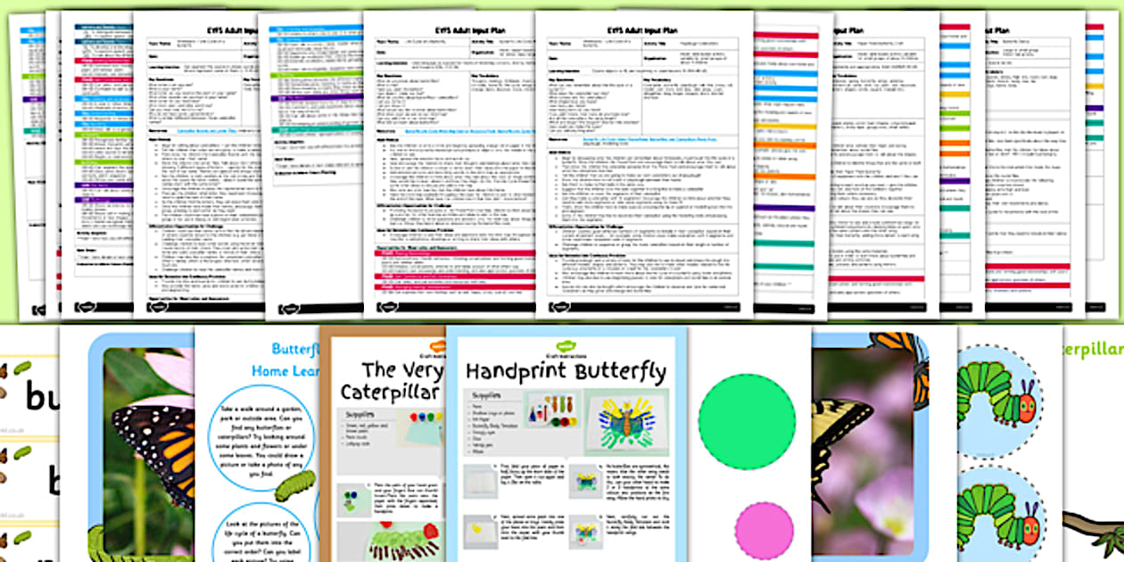 EYFS Life Cycle of a Butterfly Adult Input Planning and Resource Pack