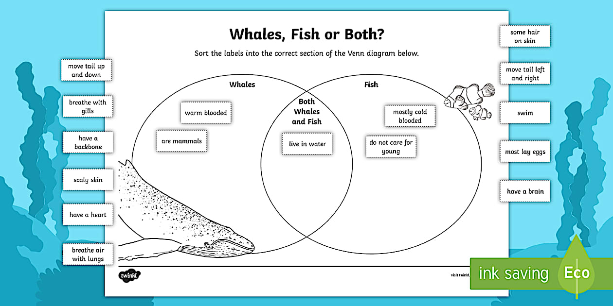 Whales and Fish Venn Diagram Worksheet / Worksheet - Twinkl