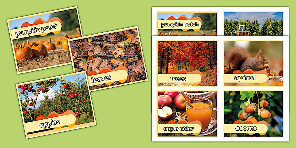 Printable Fall Pictures | Autumn Flash Cards for Kids