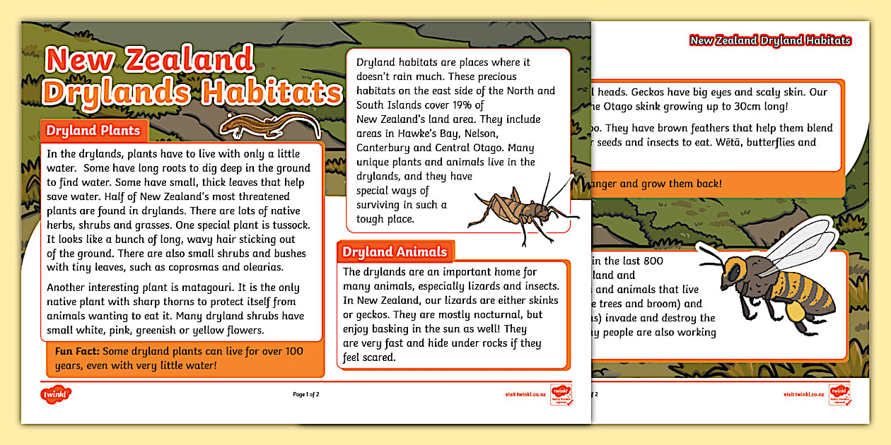 New Zealand Drylands Habitats Fact File (teacher made)