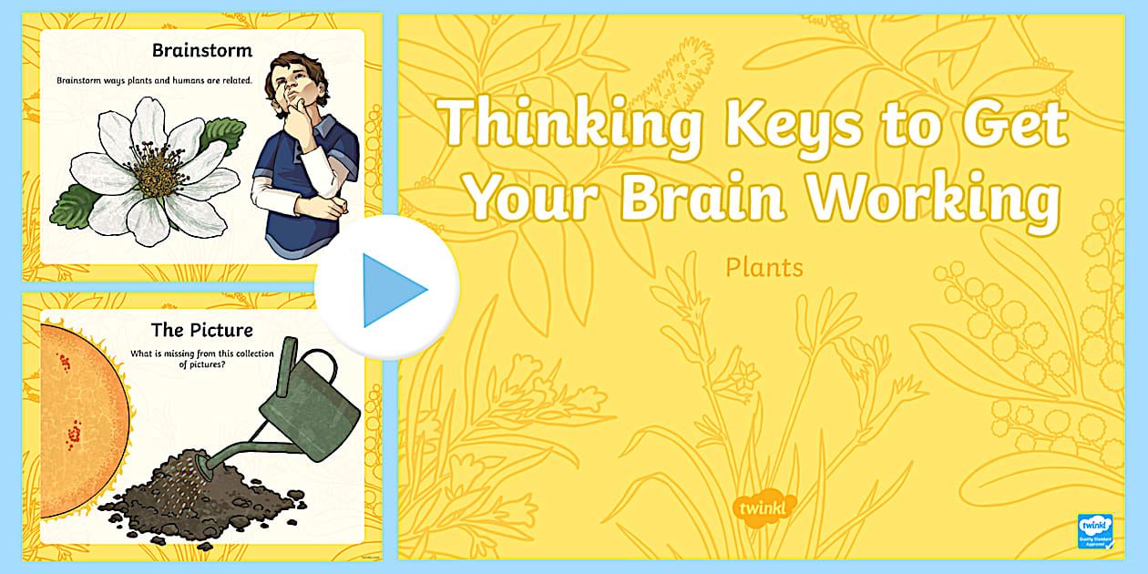 Plants Thinking Keys PowerPoint-Irish (teacher made)