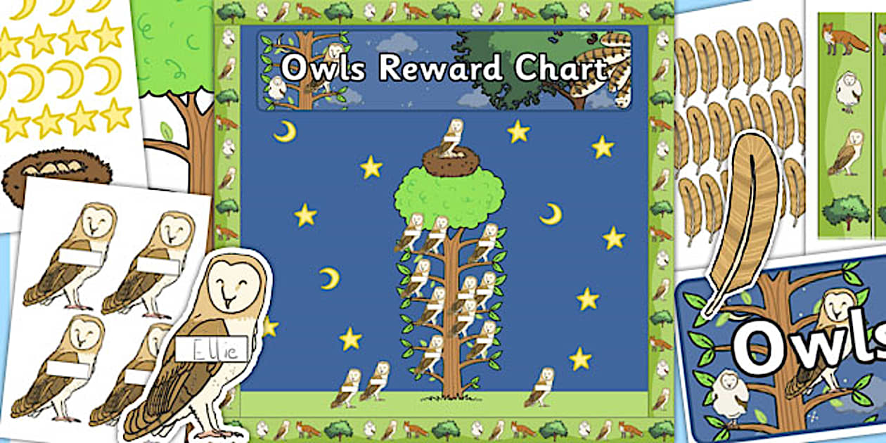 👉 Owls Reward Display Pack (teacher made) - Twinkl