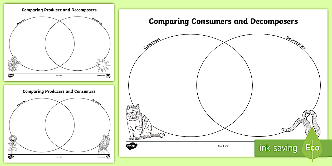Consumers, Producers and Decomposers Venn Diagram Worksheet