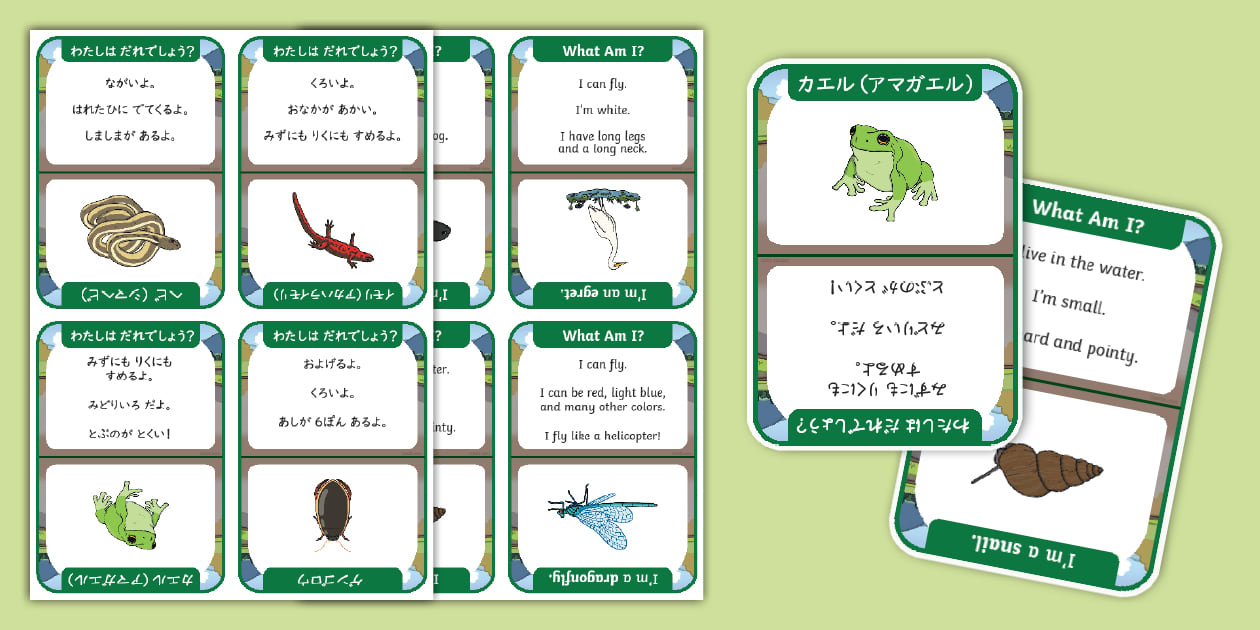 私は誰でしょう？【田んぼの生き物】クイズカード Bilingual Quiz Cards - Twinkl