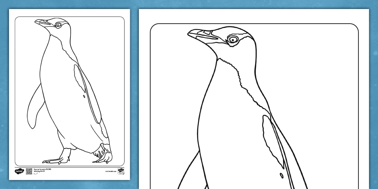 Penguin Colouring Sheet | Parents Home Teaching Support