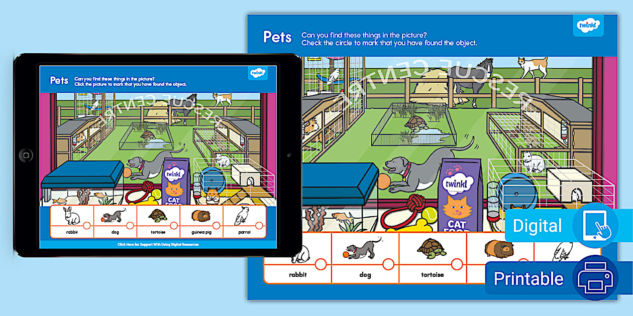 Pets Can You Find? Picture Activity (Teacher-Made) - Twinkl