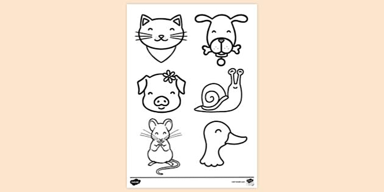Adorable Animal Colouring Pages | Twinkl Colouring
