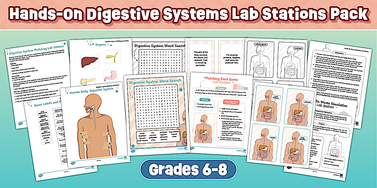 Hands-On Digestive System Lab Stations Pack for 6th-8th Grade