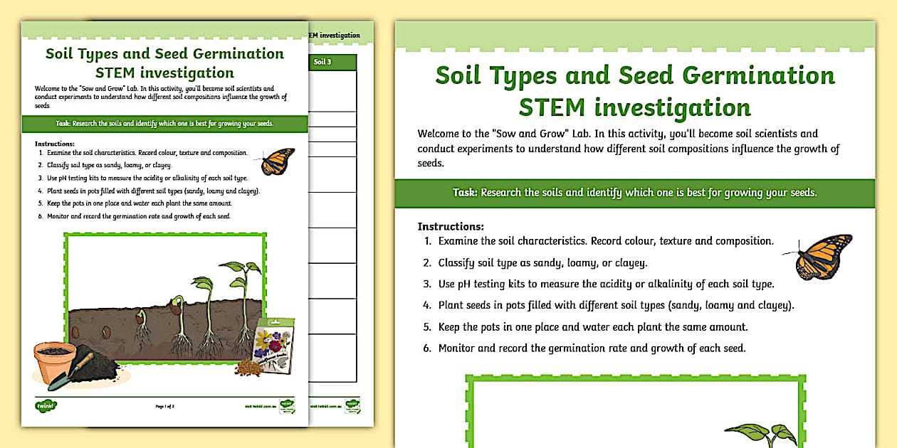 Soil Types and Seed Germination (teacher made) - Twinkl