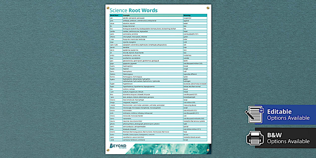 Science Root Words Large Display Poster (Teacher-Made)
