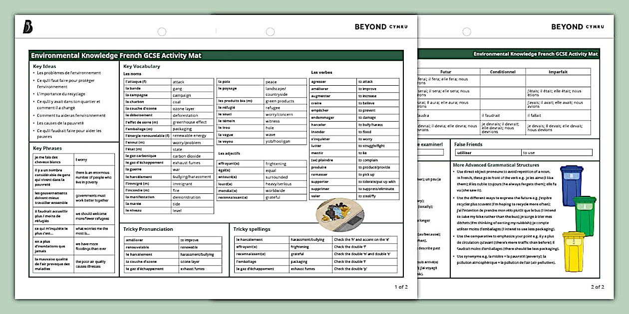 Environmental Knowledge: French GCSE Activity Mat - Twinkl