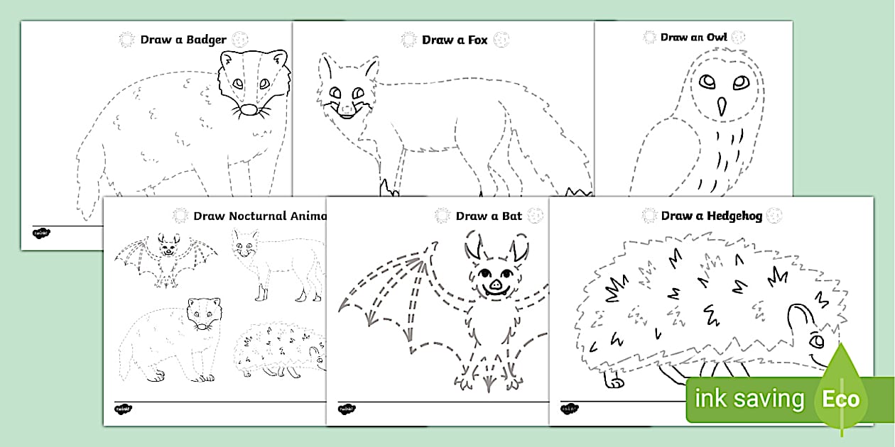 EYFS Draw a Nocturnal Animal Pencil Control Activity Pack