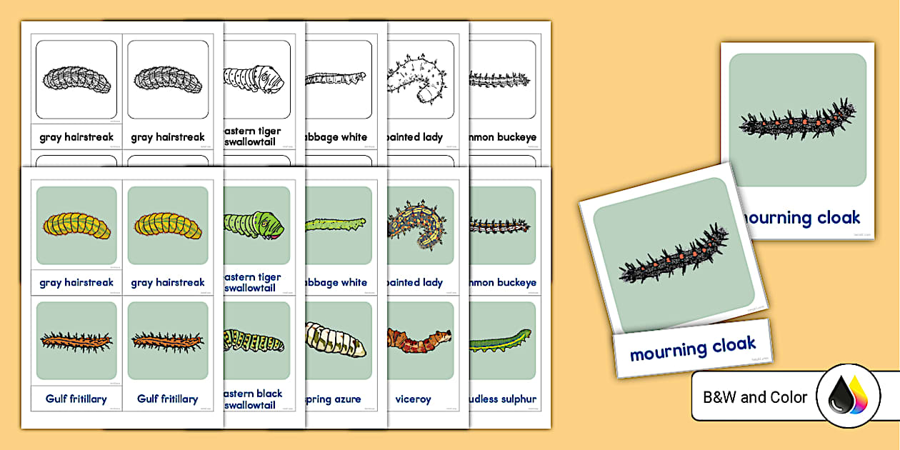 Three-Part Cards for Caterpillars With Illustrations