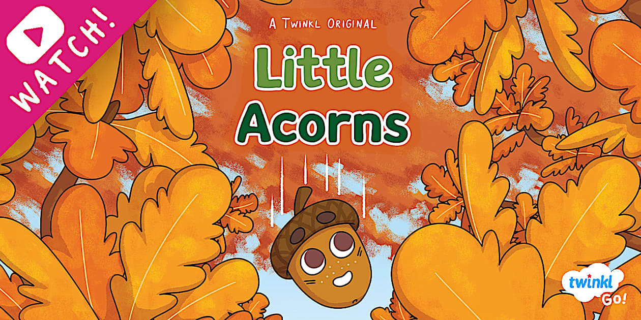 Little Acorns Animation | Twinkl Originals (teacher made)