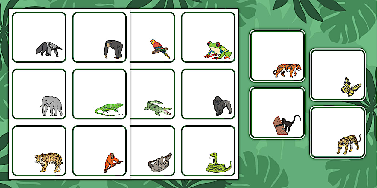 Jungle Animal Editable Drawer Peg Name Labels (teacher made)
