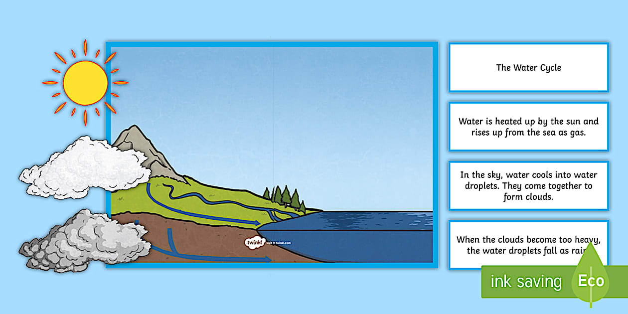 Water Cycle Anchor Chart Pack for 3rd-5th Grade - Twinkl
