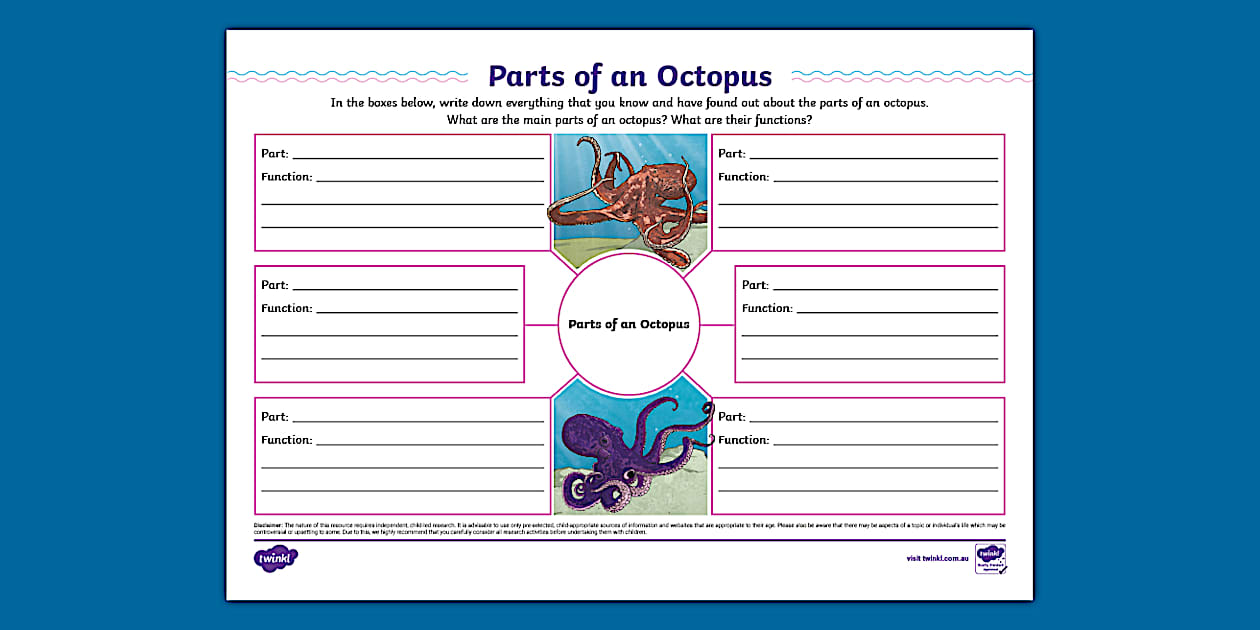 Parts of an Octopus Mind Map (Teacher-Made) - Twinkl