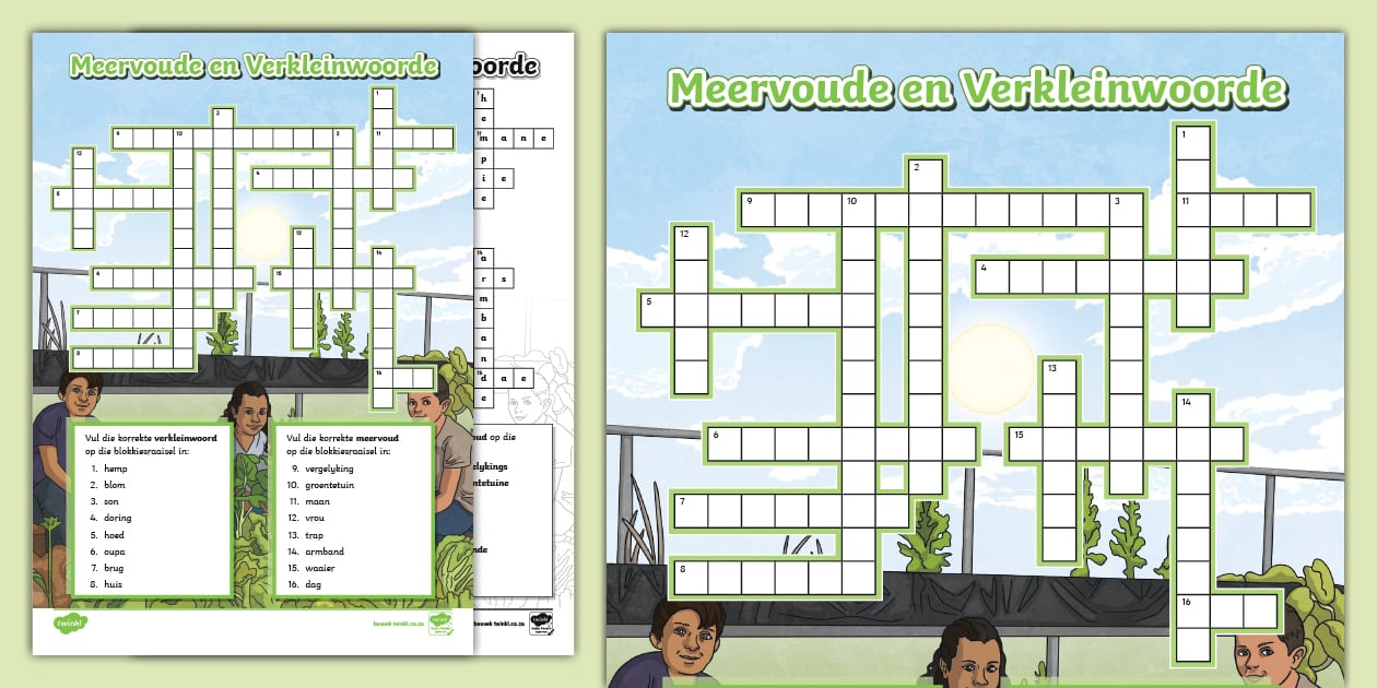 Taal Hersiening - Meervoude en Verkleinwoorde Blokkiesraaisel