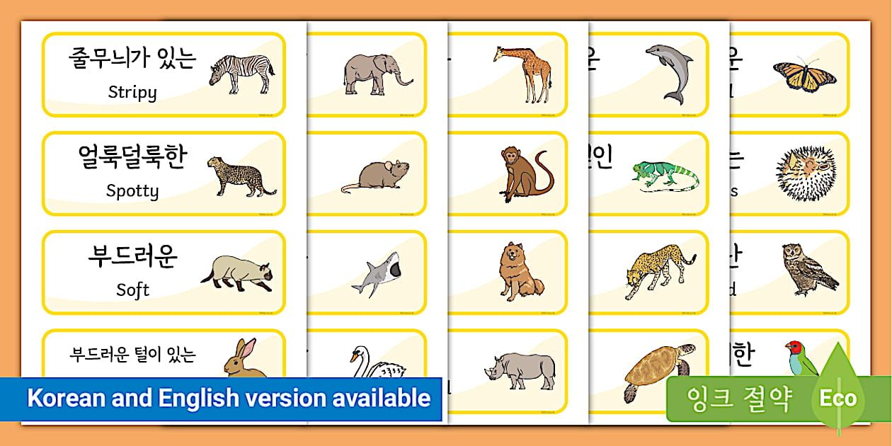 동물 형용사 단어 카드 Animal Adjectives Word Cards