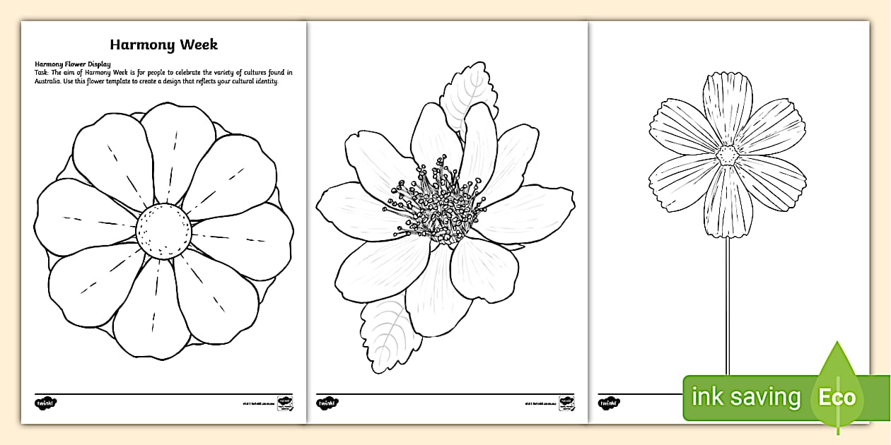 Harmony Week Flower Activity (teacher made) - Twinkl