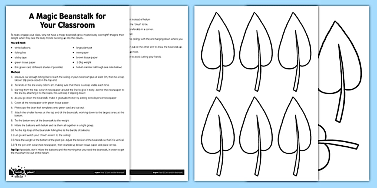 Making a Magic Beanstalk Adult Guidance (teacher made)