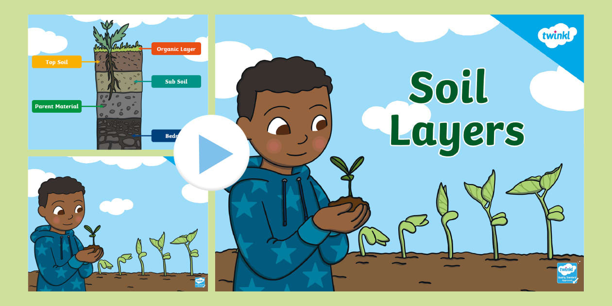 Soil Layers Interactive PowerPoint (teacher made) - Twinkl