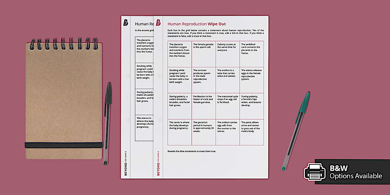 KS3 Human Reproduction: Revision Wipe Out Resource - Twinkl