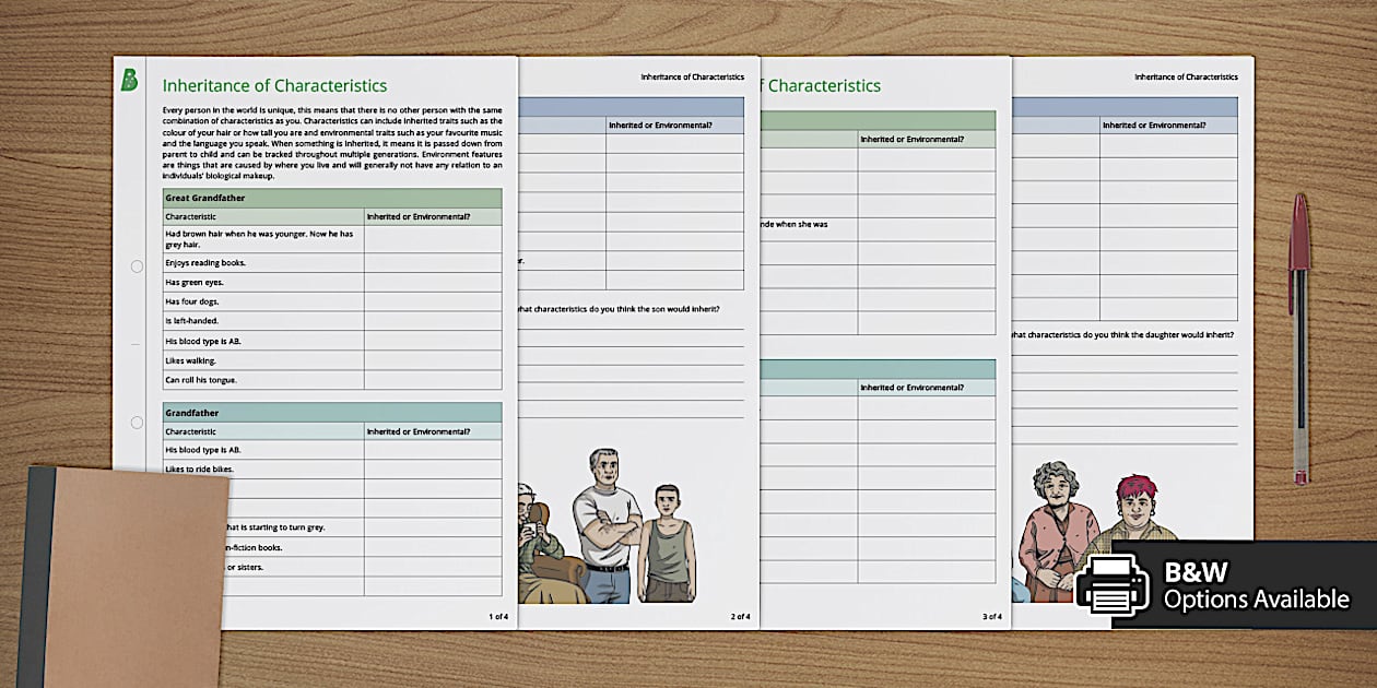Inheritance of Characteristics Worksheet (teacher made)