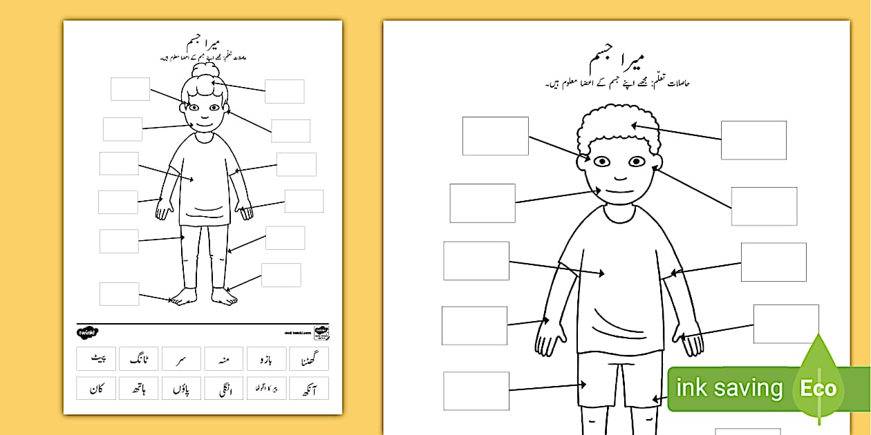 میرا جسم - My Body Cut and Paste Labelling Activity