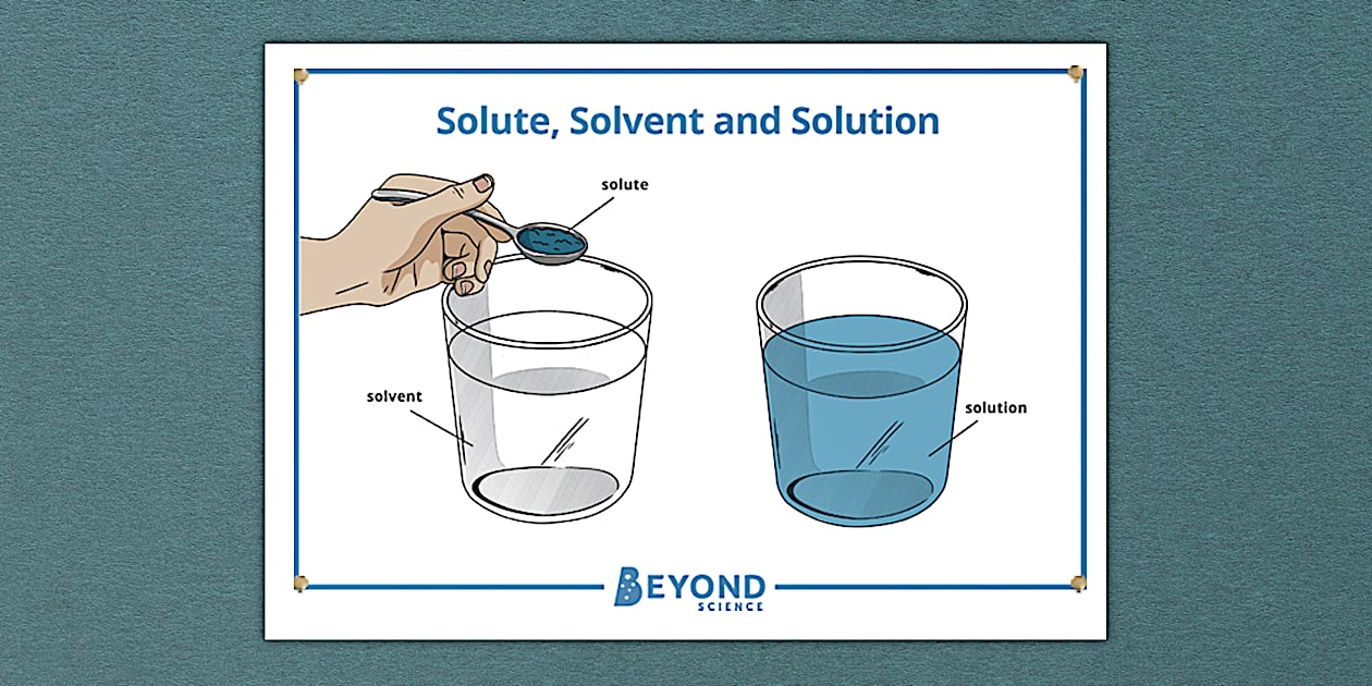 Solute, Solvent and Solution Display Poster (teacher made)