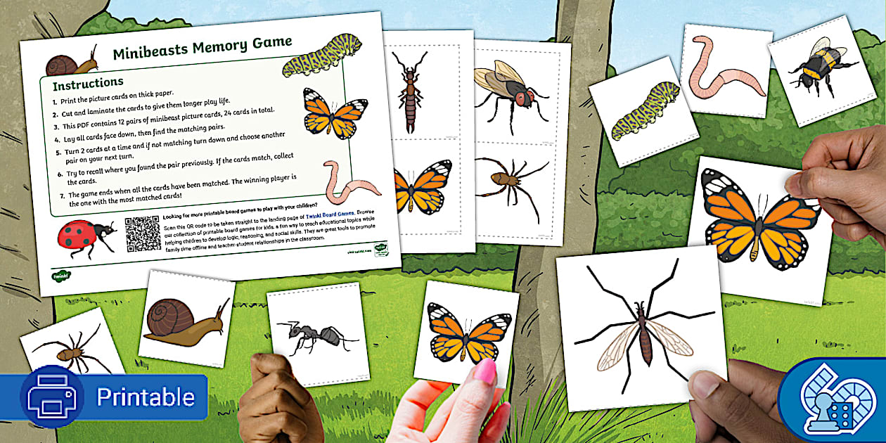 Minibeasts Memory Game for EYFS Summer Activities - Twinkl