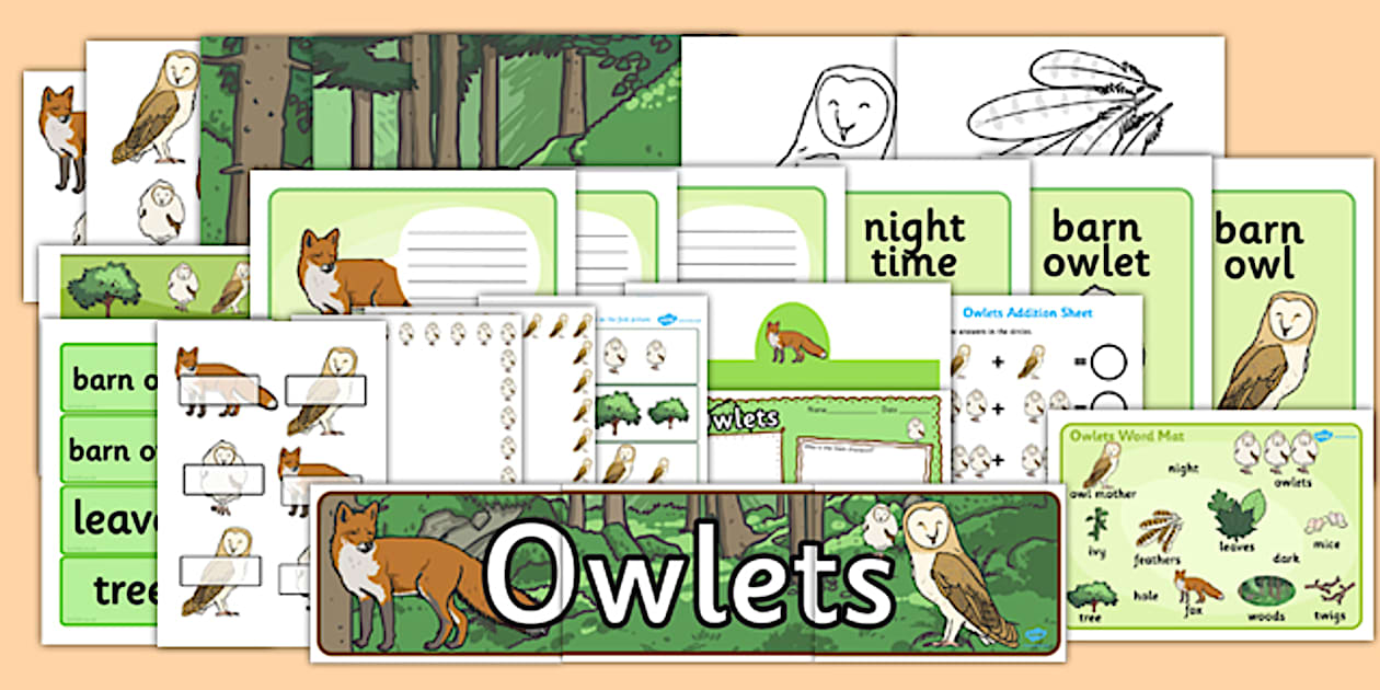 Owl Story Resources - Owl Babies Story Sack (teacher made)