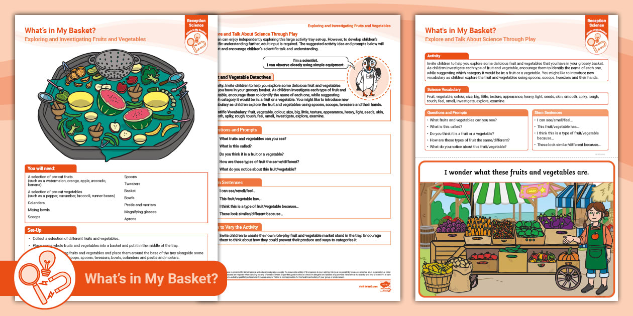 EYFS Science Large Activity Tray: What's In My Basket?