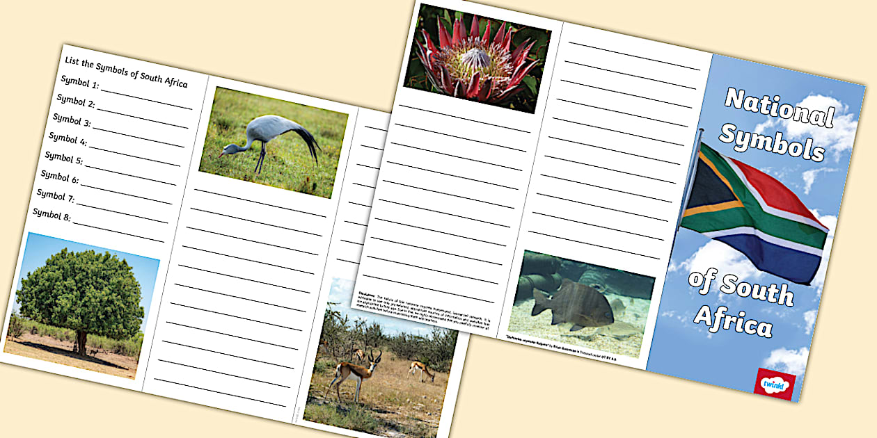 National Symbols of South Africa Leaflet Template - Twinkl