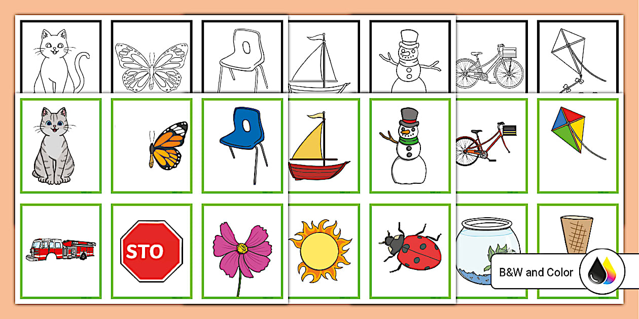 What's Missing? Picture Cards (teacher made) - Twinkl