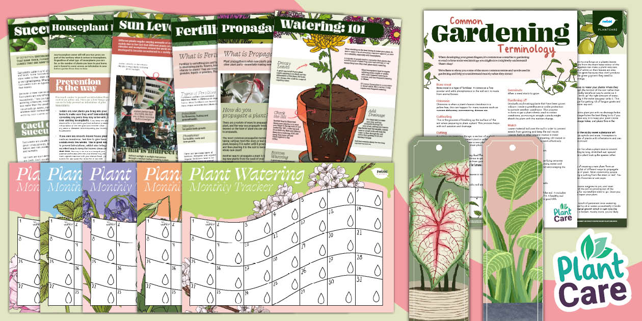 Twinkl Plantcare Pack (teacher made) - Twinkl