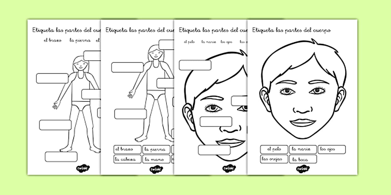 Ficha Etiqueta las partes del cuerpo - cuerpo