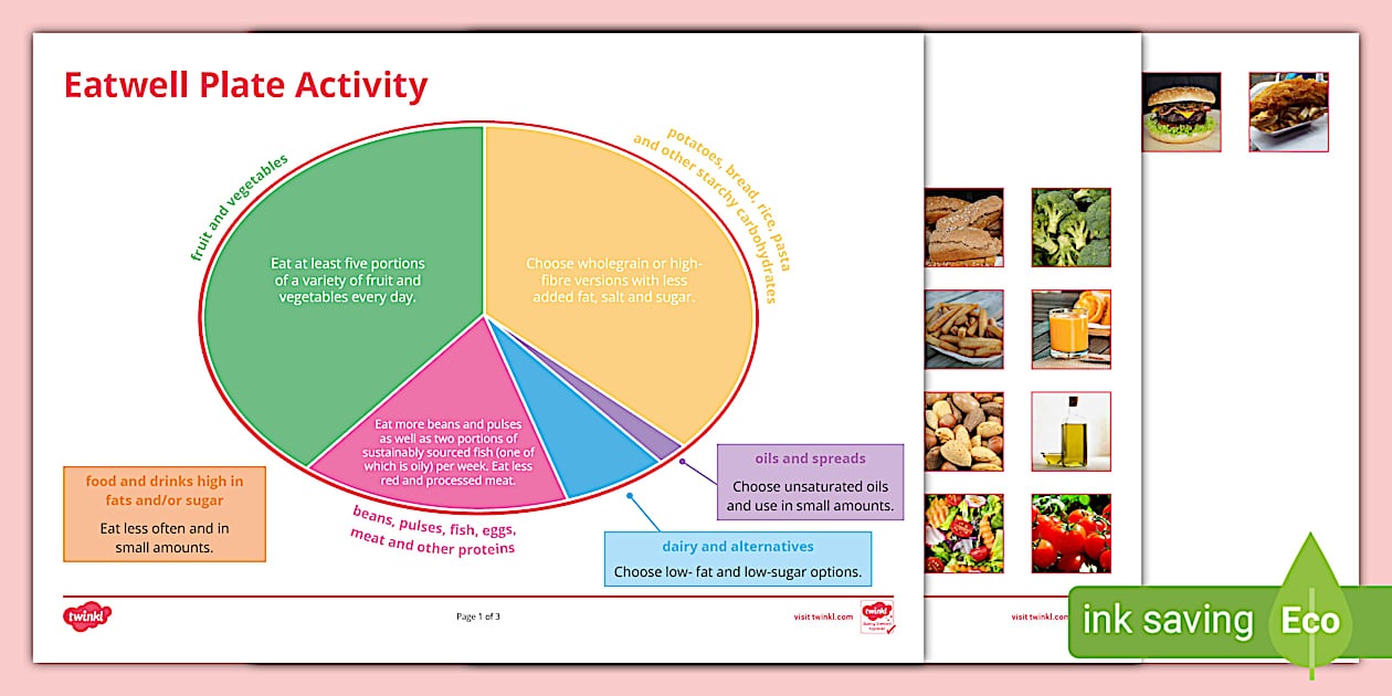 Workstation Pack: Eatwell Plate Activity | Twinkl - Twinkl