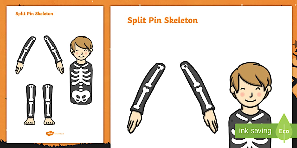 Split Pin Skeleton Activity - Twinkl