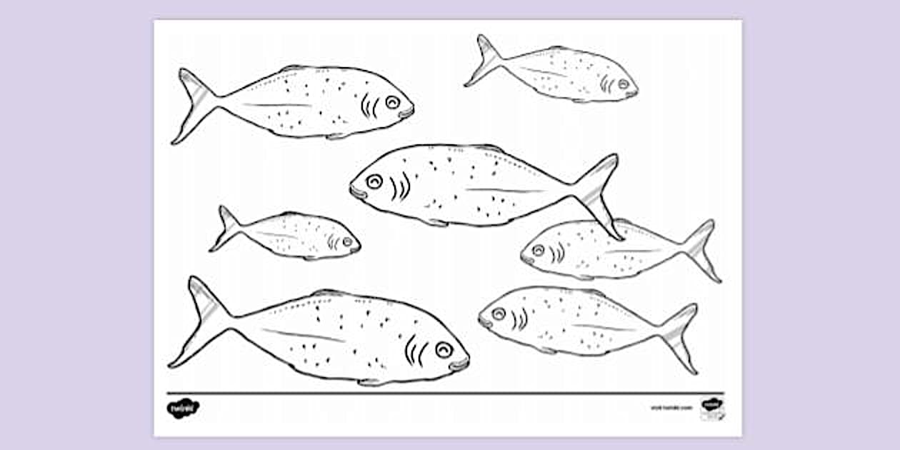 Fish Colouring Page | Colouring Sheets (teacher made)
