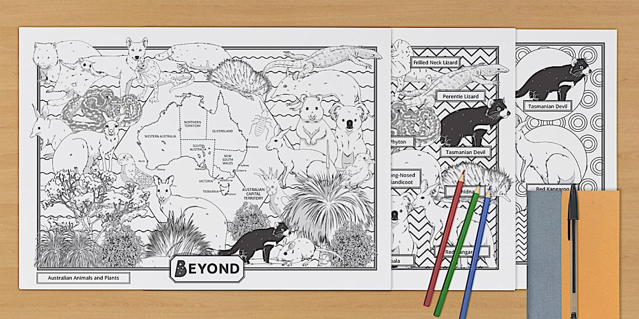 Australia's Native Species Colouring Page (teacher made)