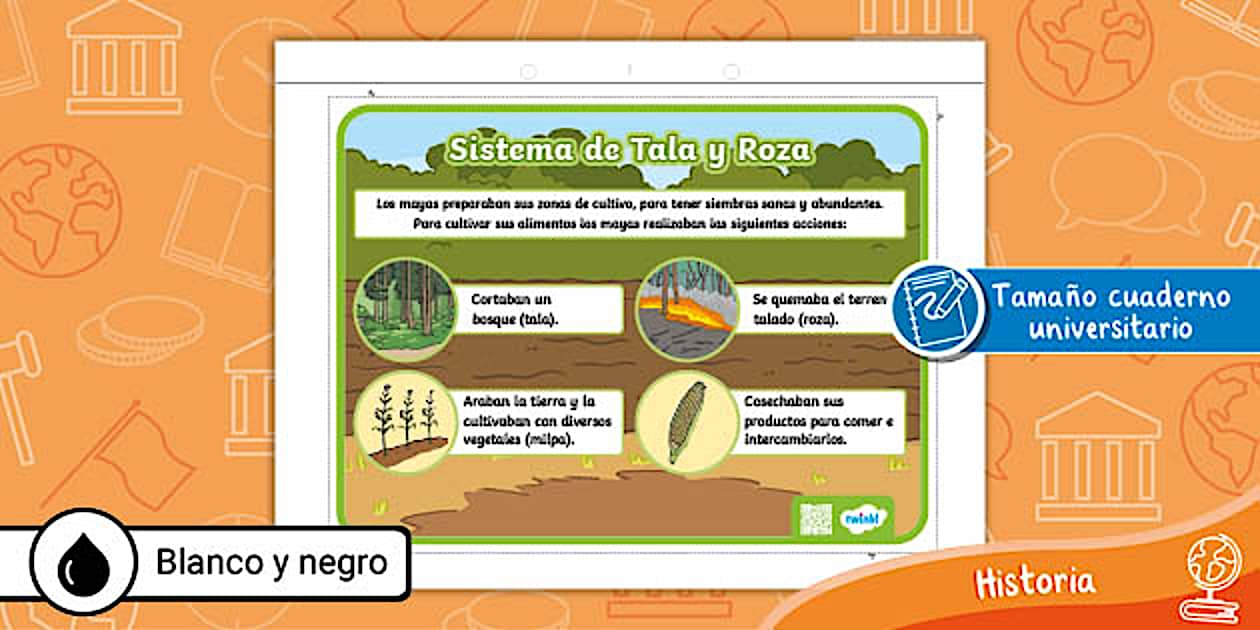 Póster | Sistema Tala y Roza | Mayas | Historia América