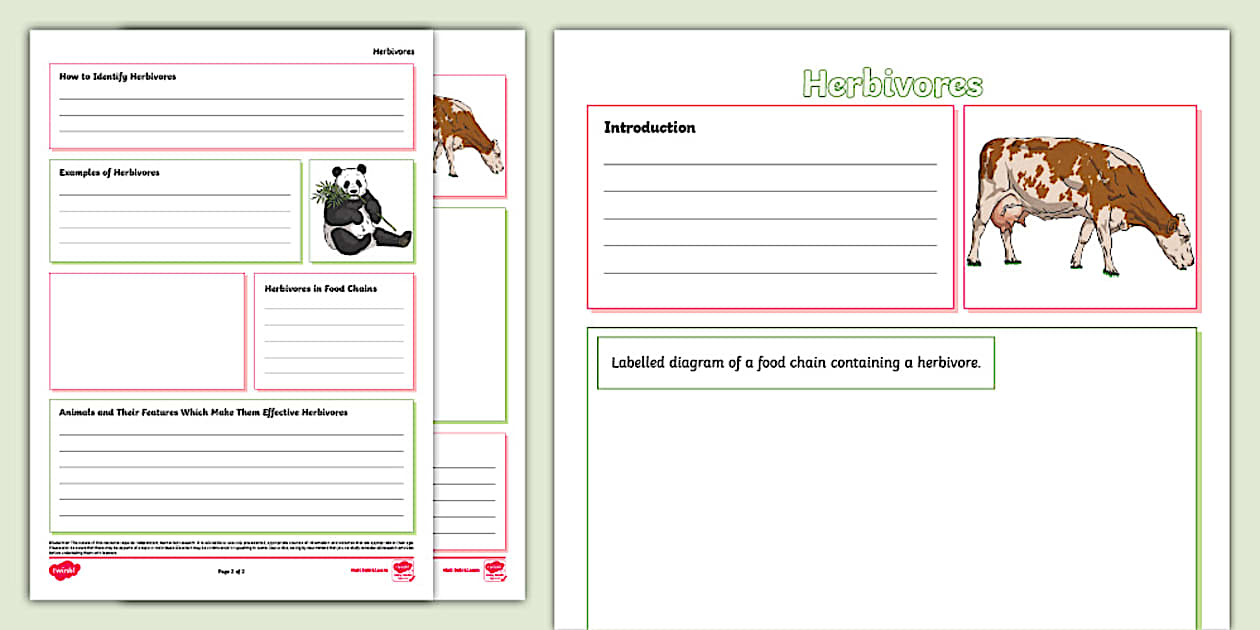 Herbivores Non-Chronological Report Template